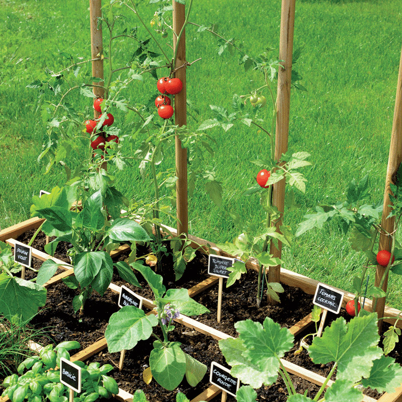 La Solution Idéale du Carré Potager - Potager Au Balcon