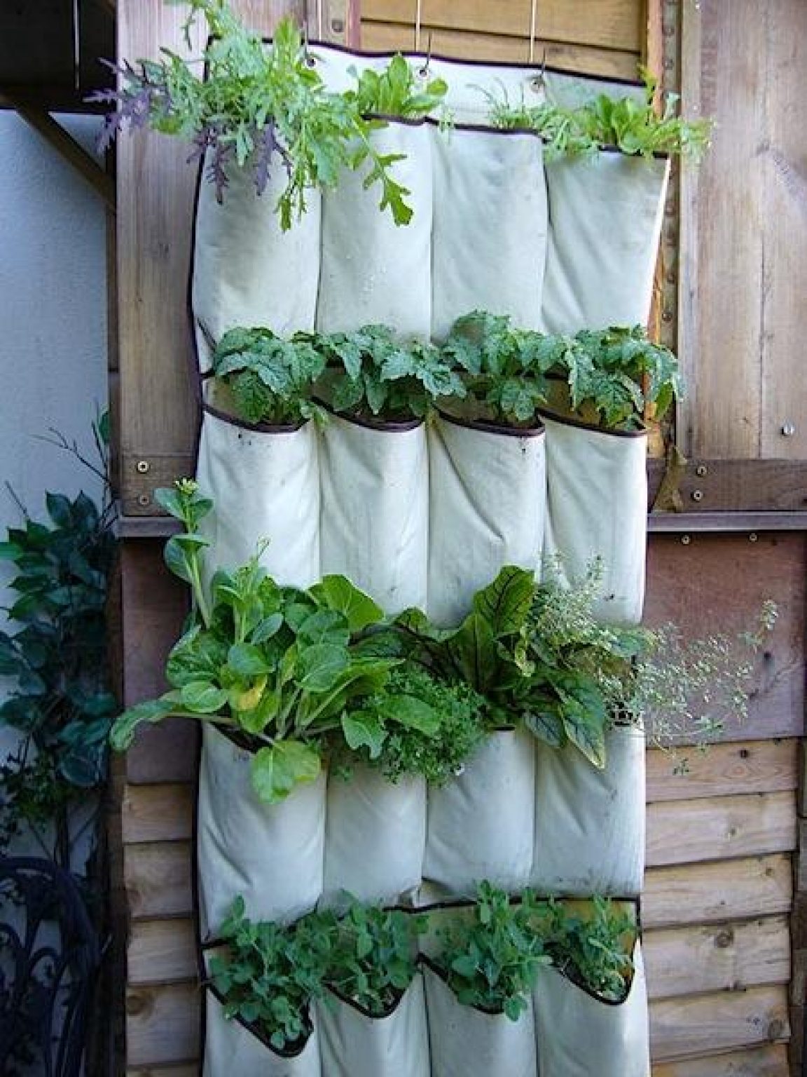 Comment créer un potager vertical - Potager Au Balcon
